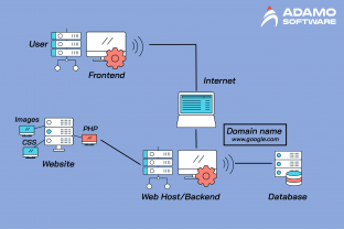 Back-end development: All need to know web & app development