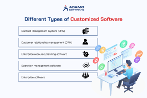 What is Custom Software: Definition, Benefits, Types, Best Practices